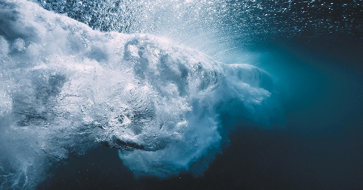 Become Ocean Digital Program